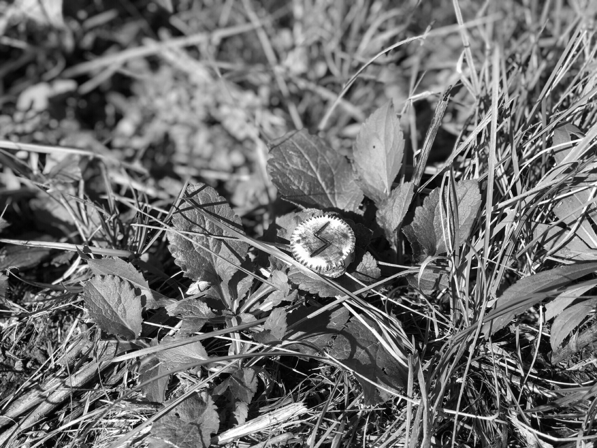 Sowilo – Rune of the Sun – Sun Archer : The Pursuit of the Ancient Truth.