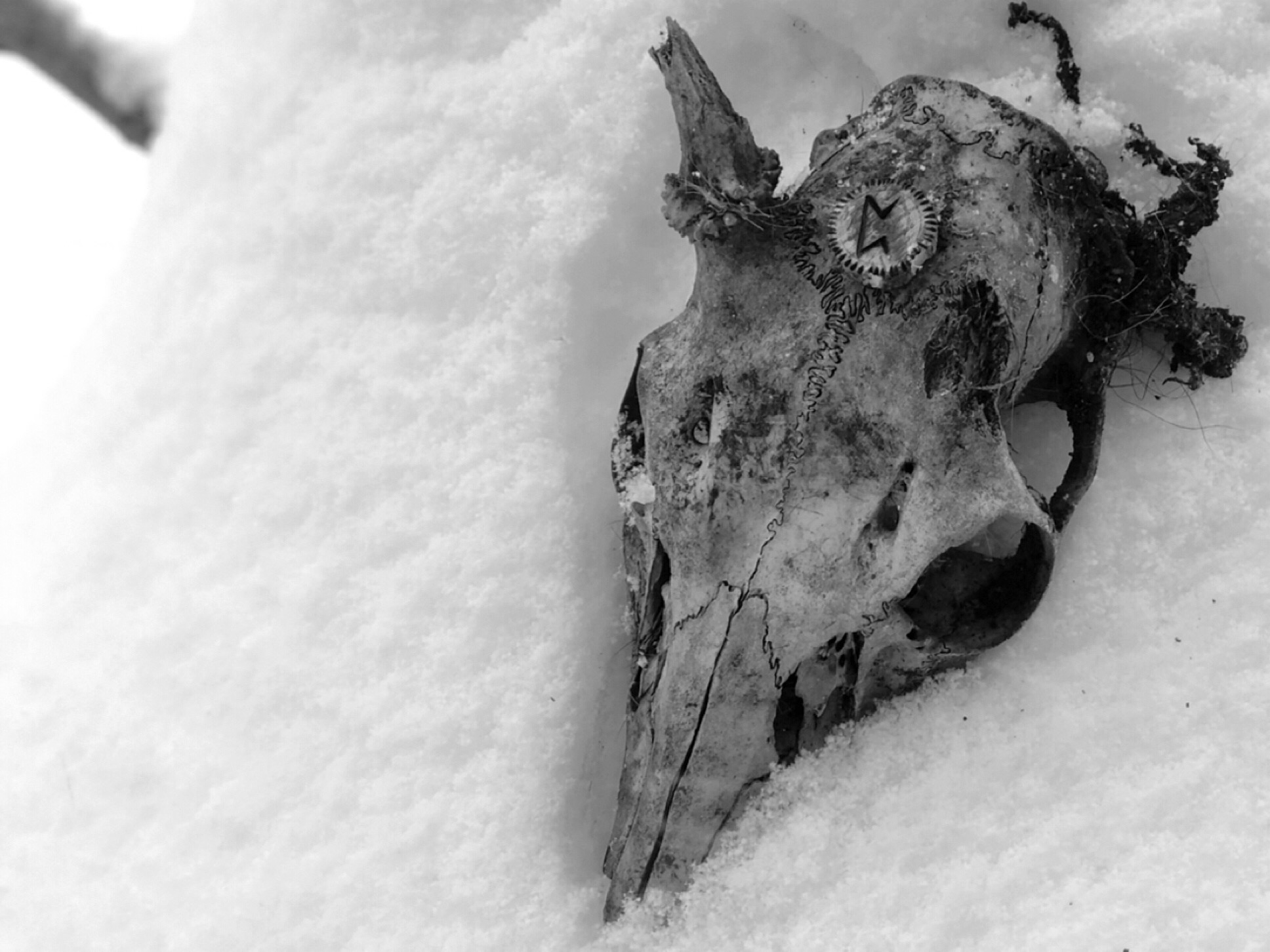 Perthro – Rune of Fate – Sun Archer : The Pursuit of the Ancient Truth.