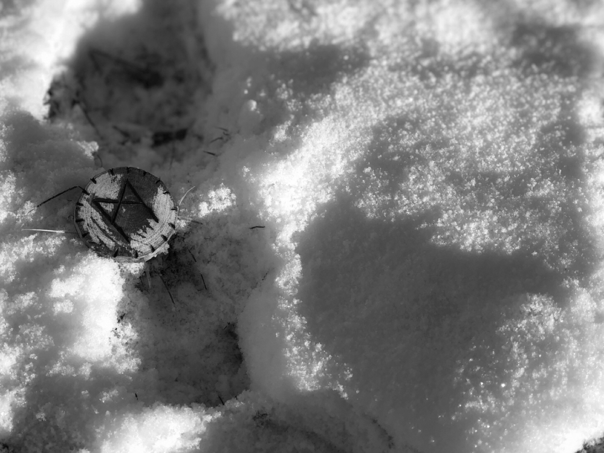 Mannaz – Rune of Humanity – Sun Archer : The Pursuit of the Ancient Truth.