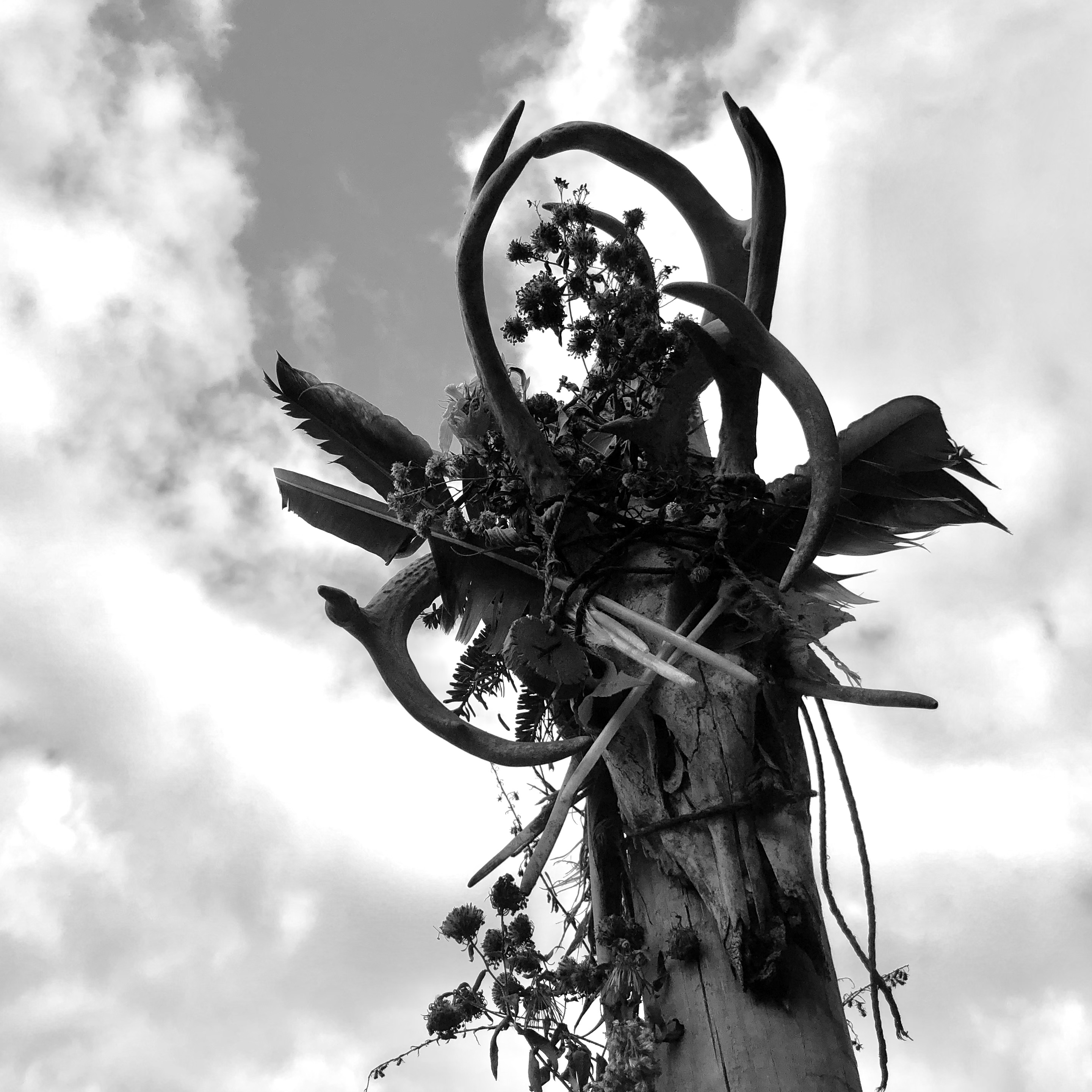 Further Analysis of the Algiz Rune – Sun Archer : The Pursuit of the ...