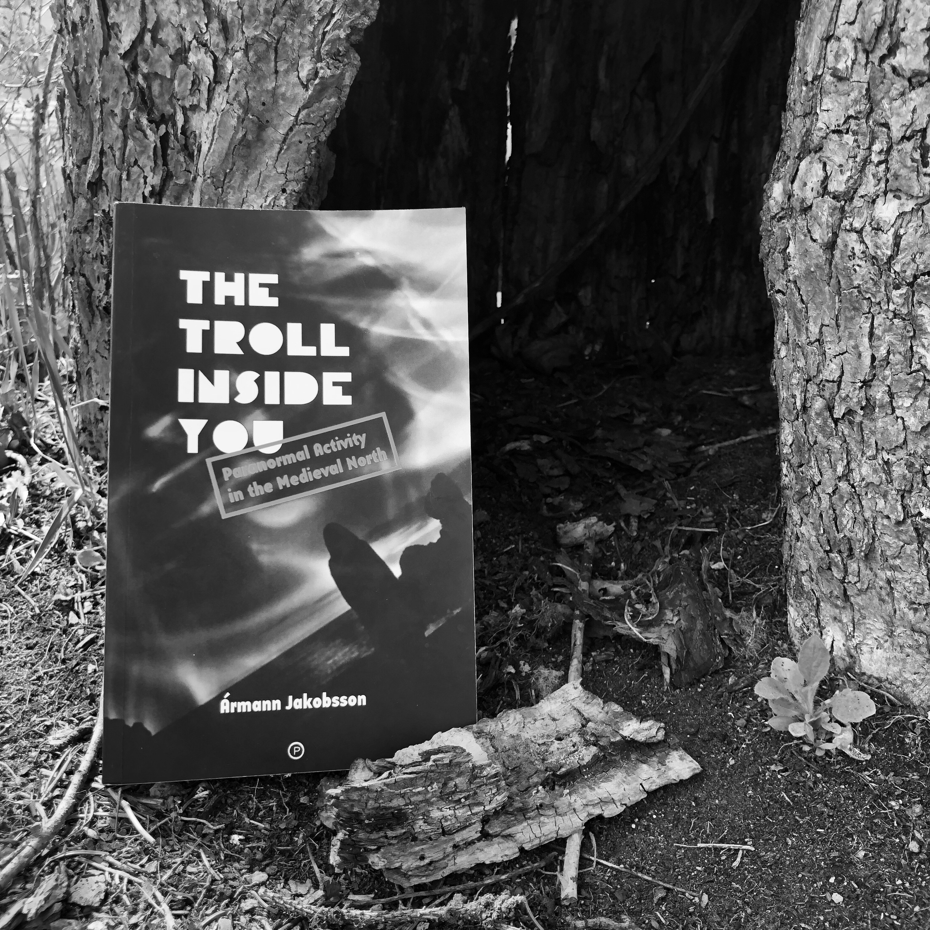 Book Review: The Troll Inside You: Paranormal Activity in the Medieval ...